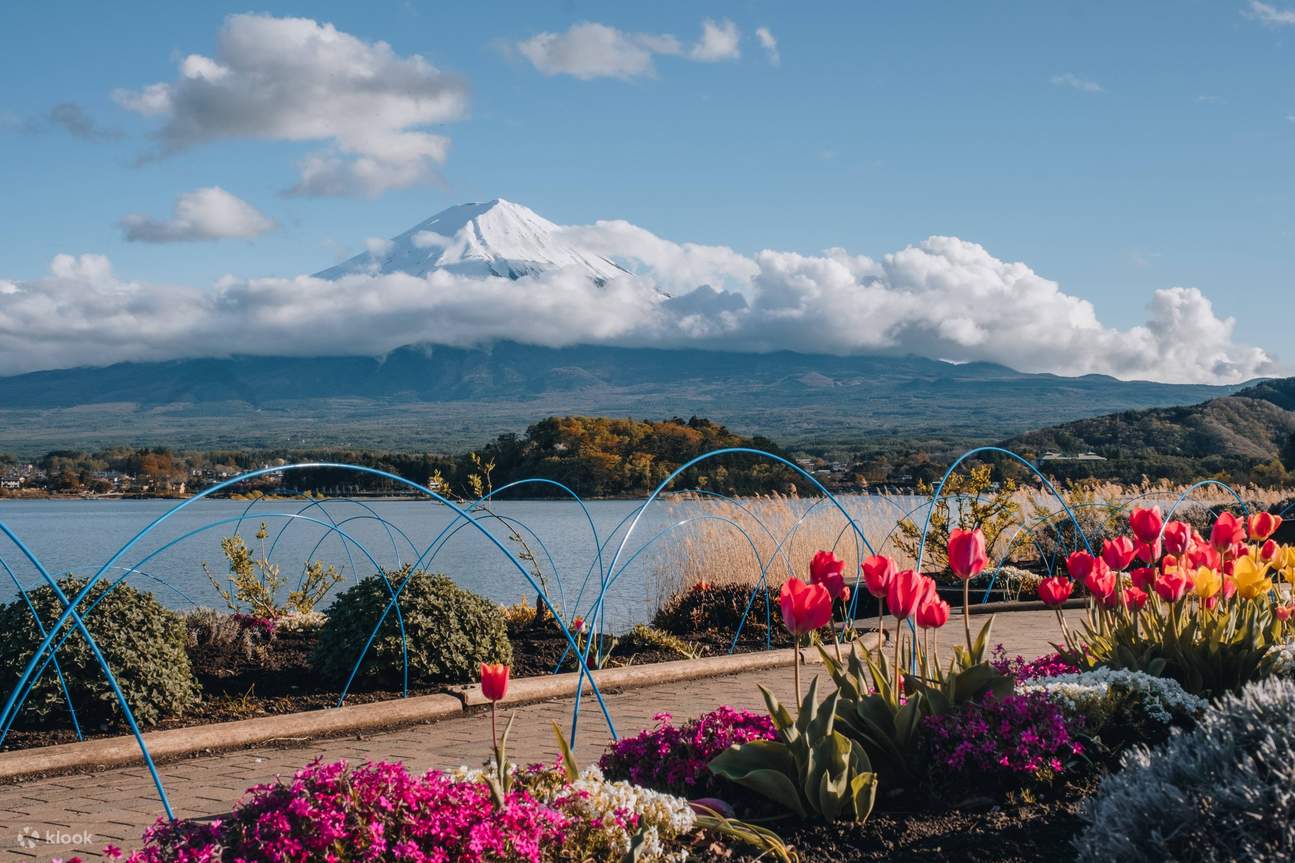 Mount Fuji, Arakurayama Park, Oshino Hakkai, and Lake Kawaguchiko Bus ...
